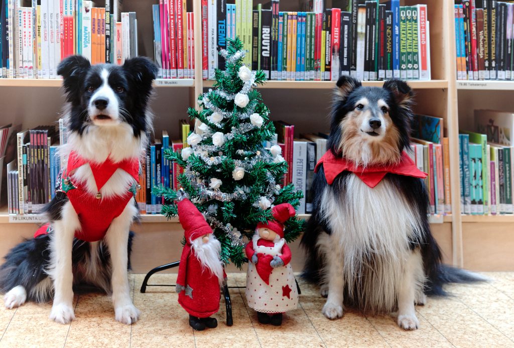 A Christmas bingo and more activities from Iisalmi City Library ...